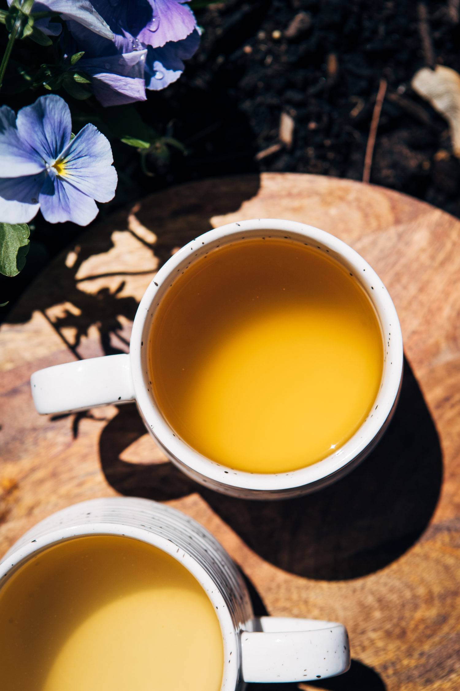 How To Make Solar Tea | Well and Full Well and Full