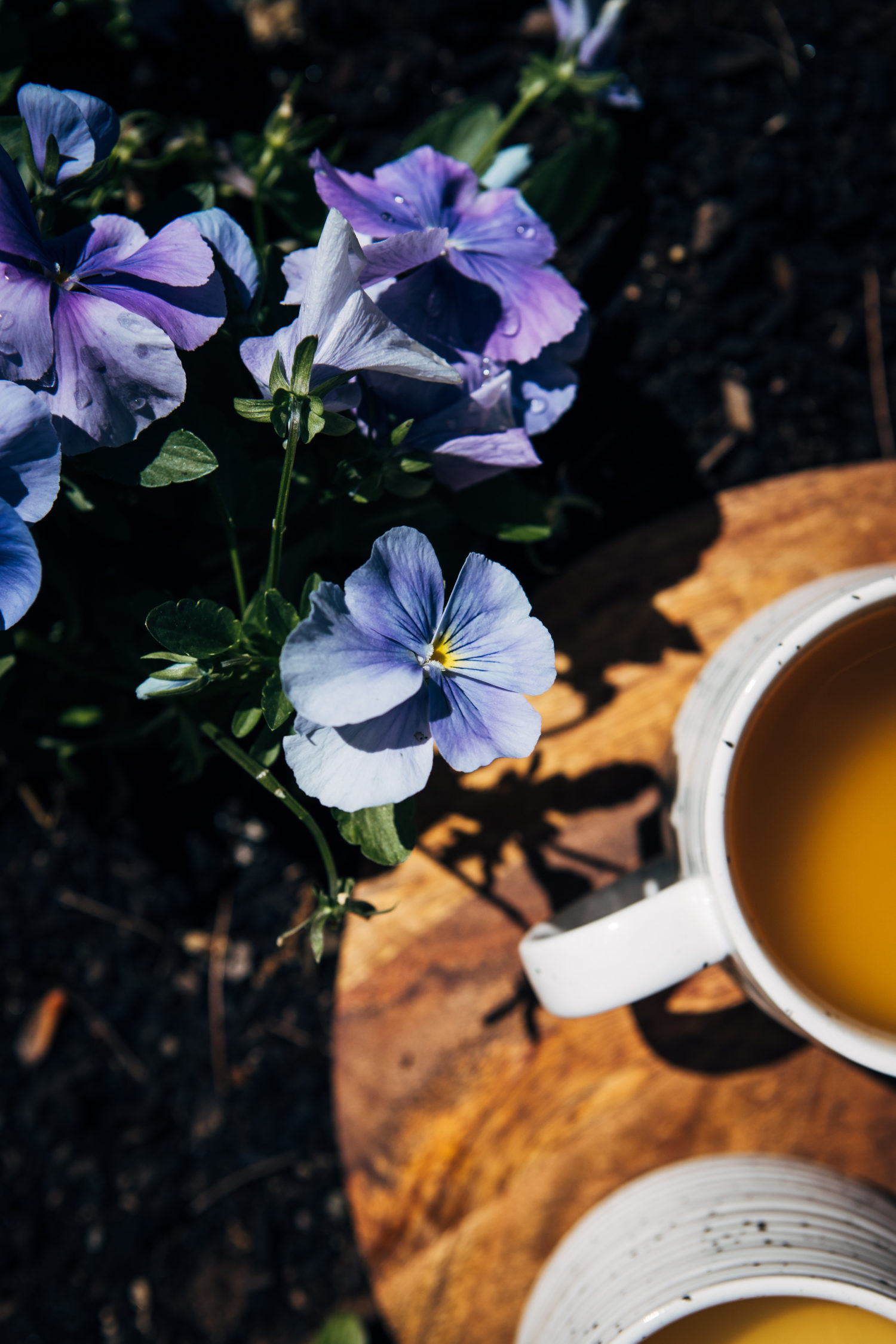 How To Make Solar Tea | Well and Full Well and Full