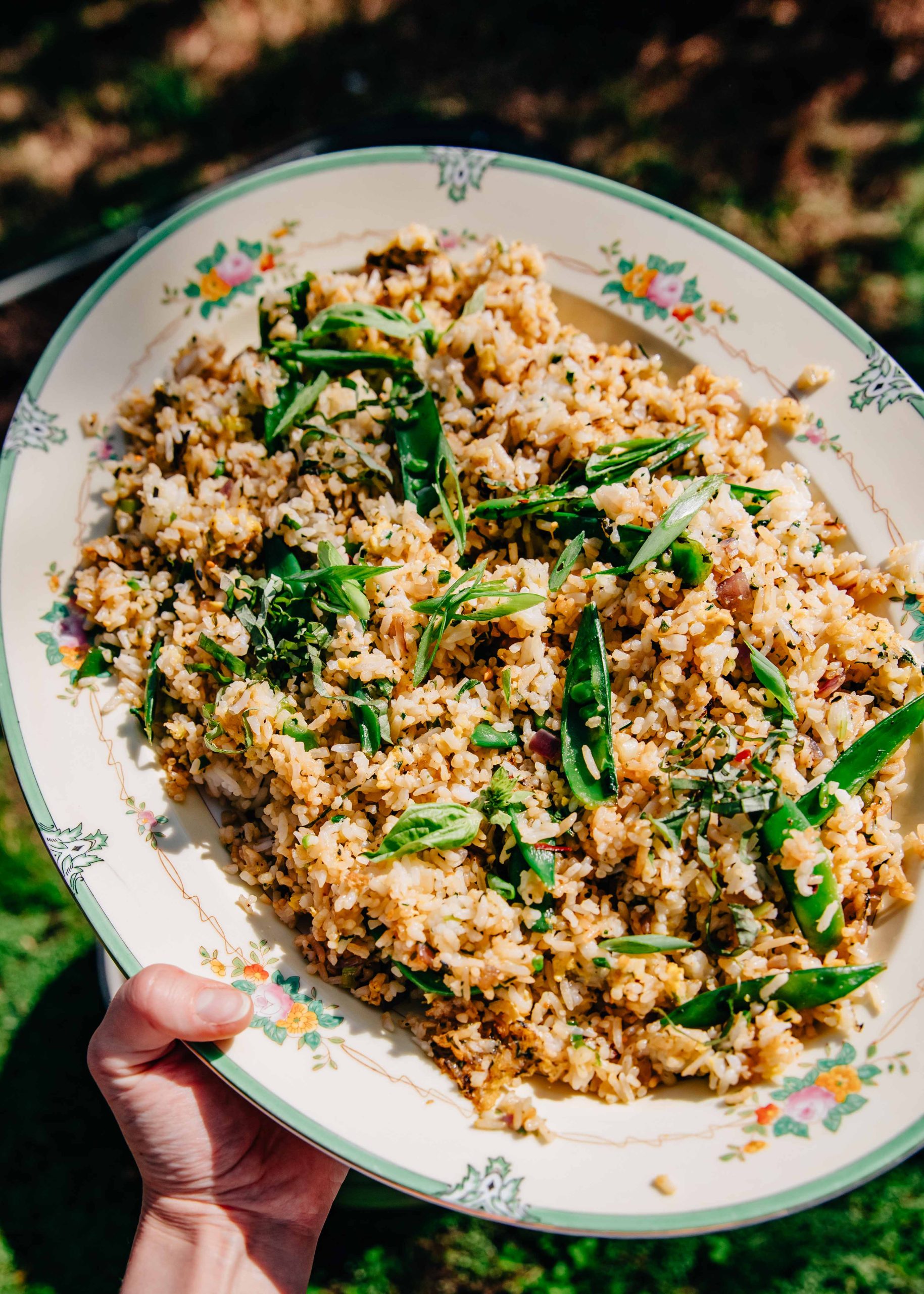 Ramp Fried Rice | Well and Full