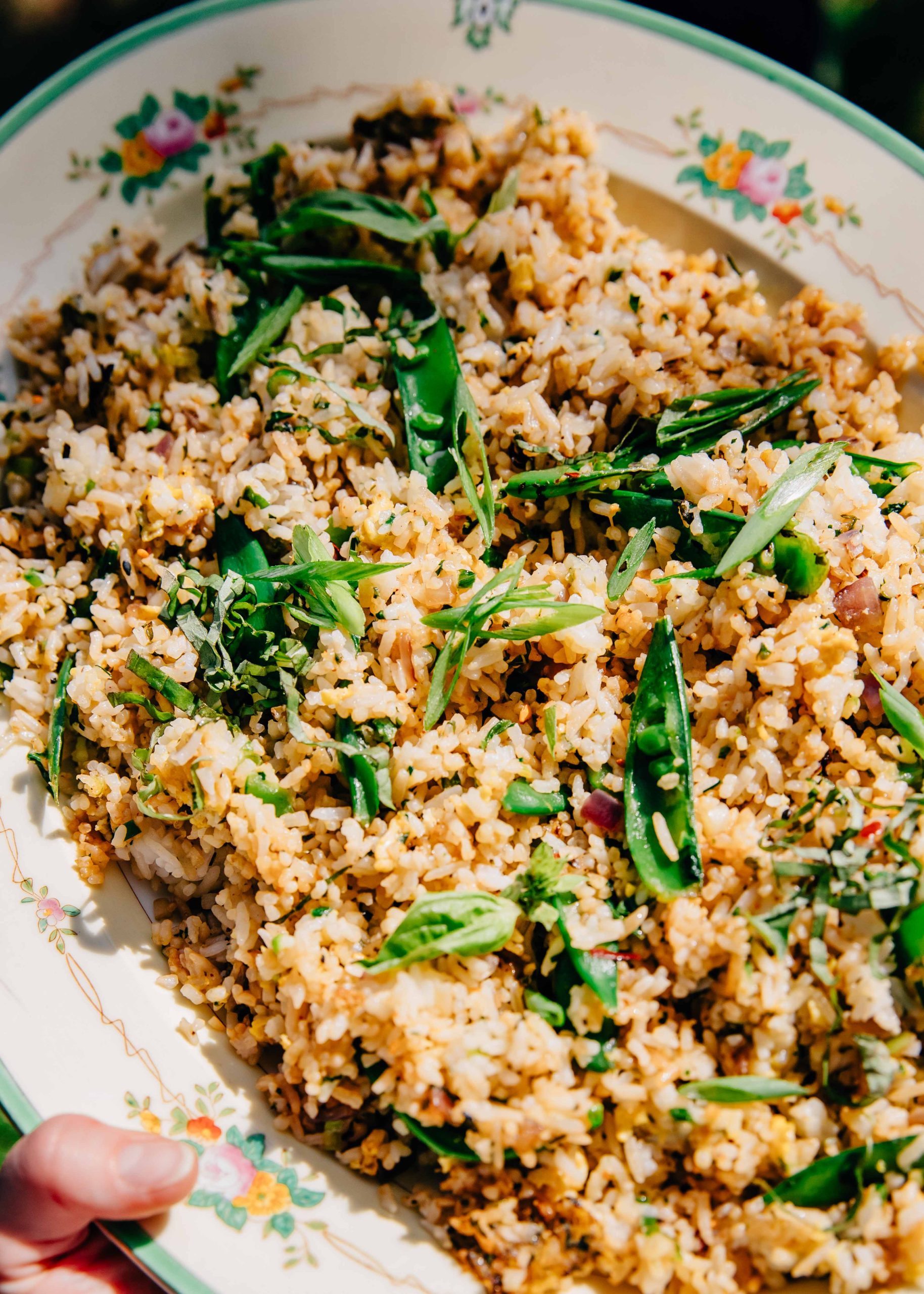 Ramp Fried Rice | Well and Full