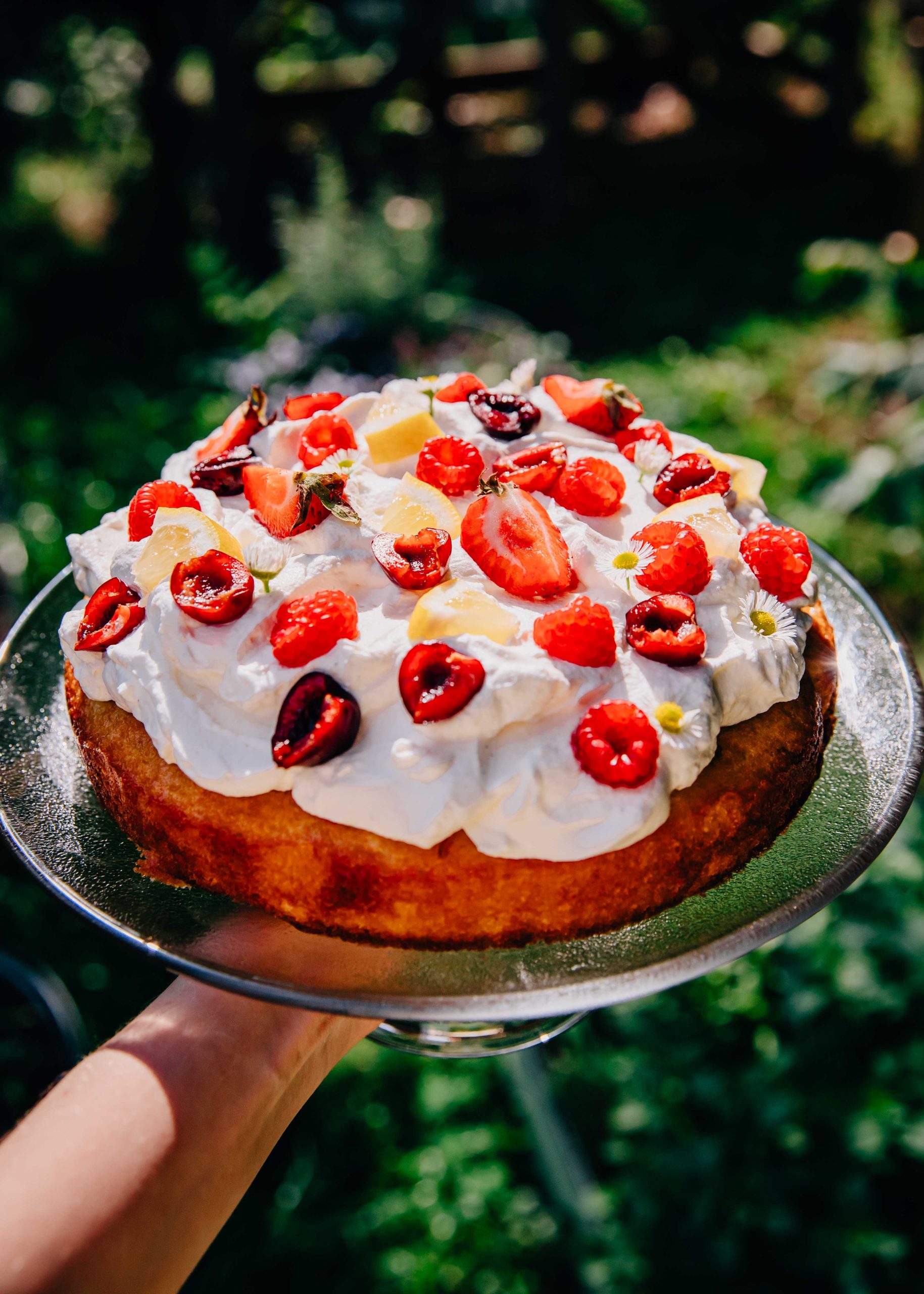 Lemon Cake w/ Vanilla Chantilly Cream | Well and Full