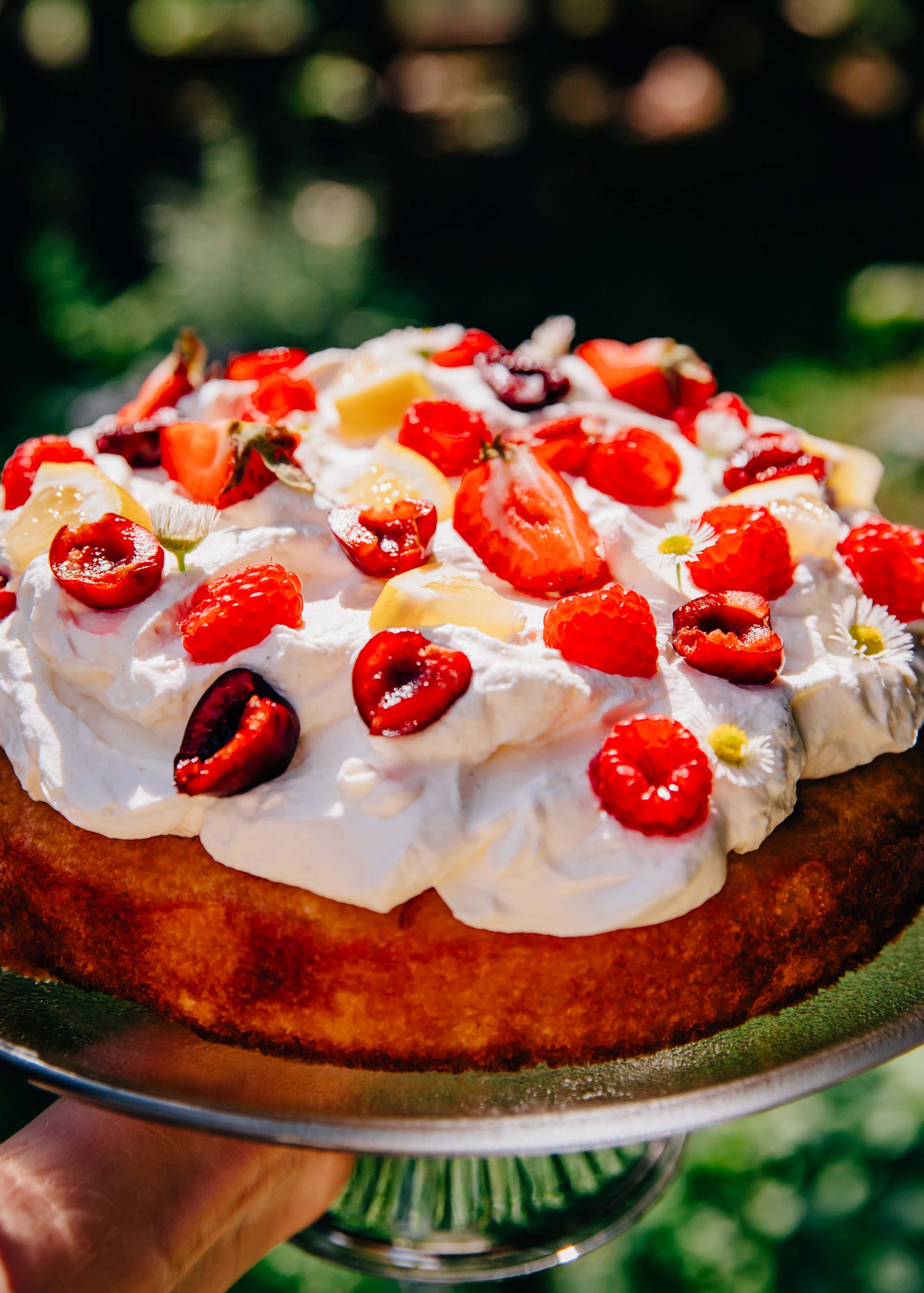 Lemon Cake w/ Vanilla Chantilly Cream | Well and Full