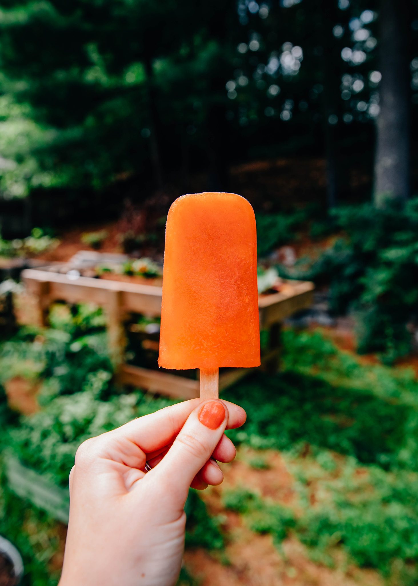 Aperol Spritz Popsicles | Well and Full