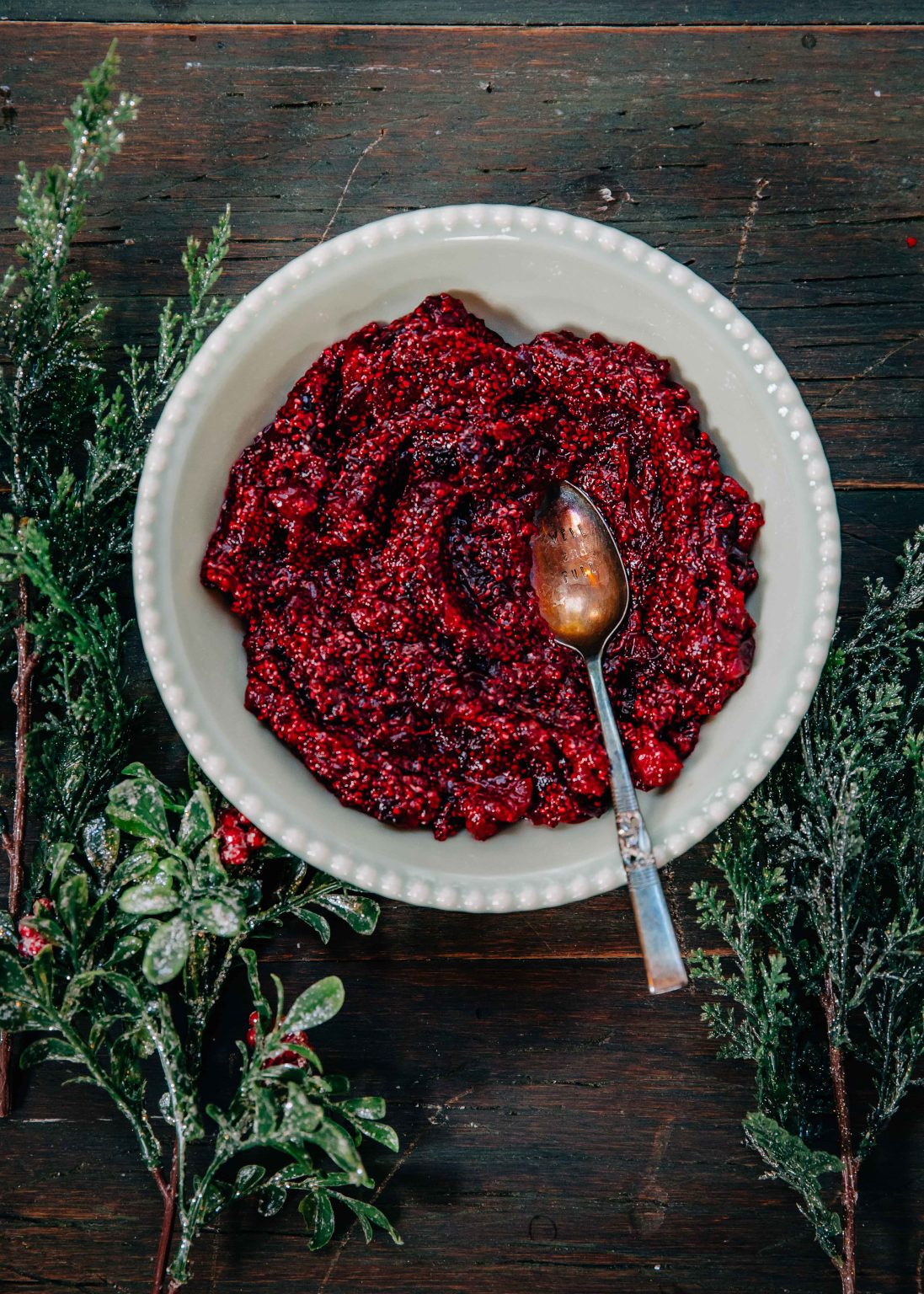 Cranberry Chia Jam | Well and Full